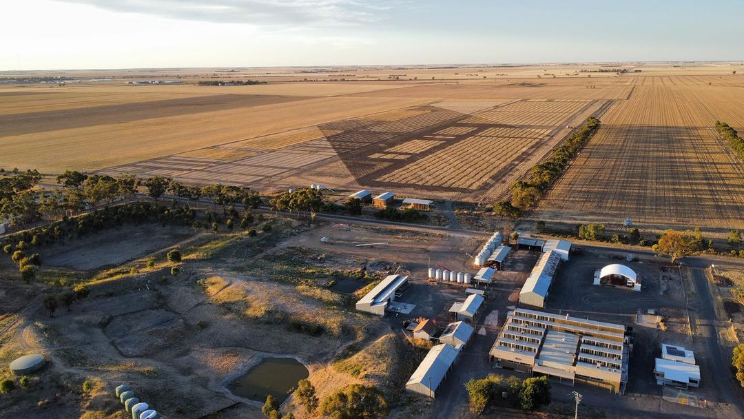 Commercial & Data Farm - Longerenong College