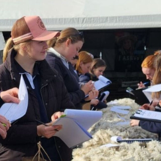 AHC41325 Certificate IV in Wool Classing - Longerenong College