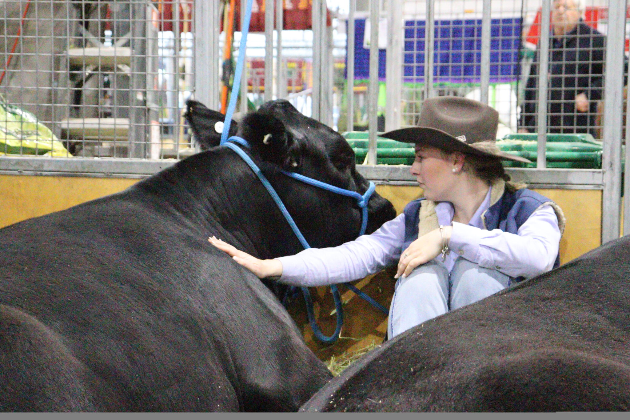 Longerenong Students Shine at Royal Melbourne Show Beef Carcass ...